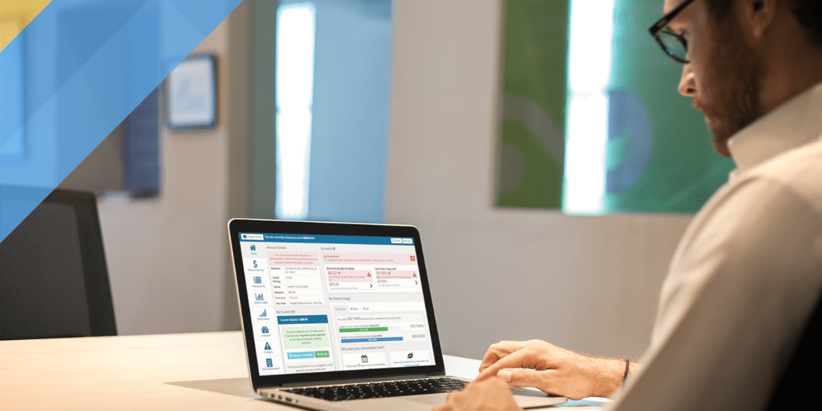 Boost Profits: Great Service in Utilities - Silver Blaze Solutions