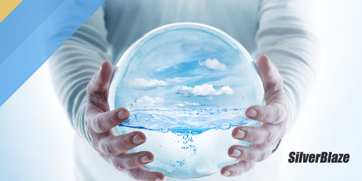 Benefits of a Portal for Water Utilities - Silver Blaze Solutions